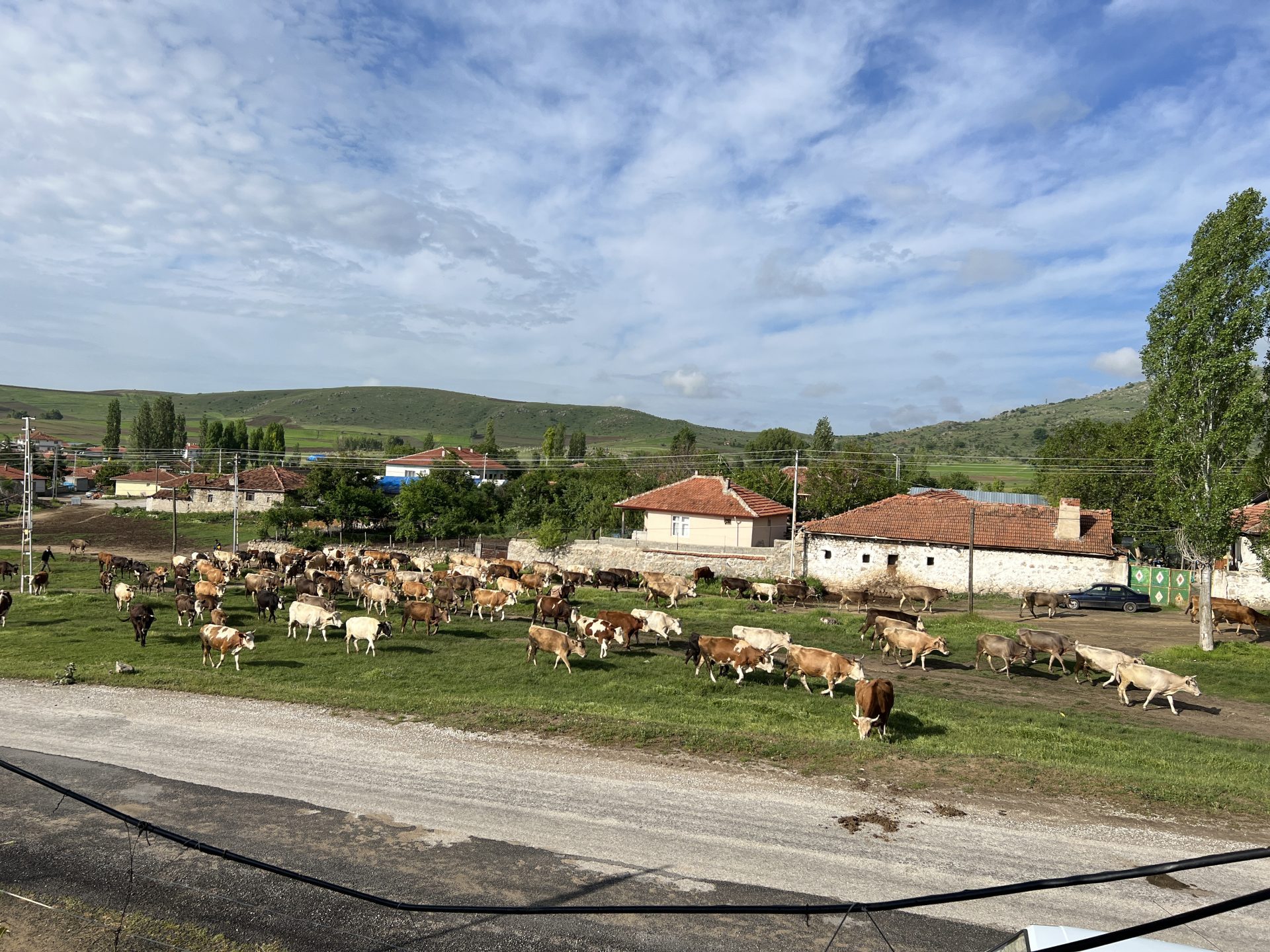 Dr. Tim Brown's Summer in Turkey Provides Potential Opportunities for ...