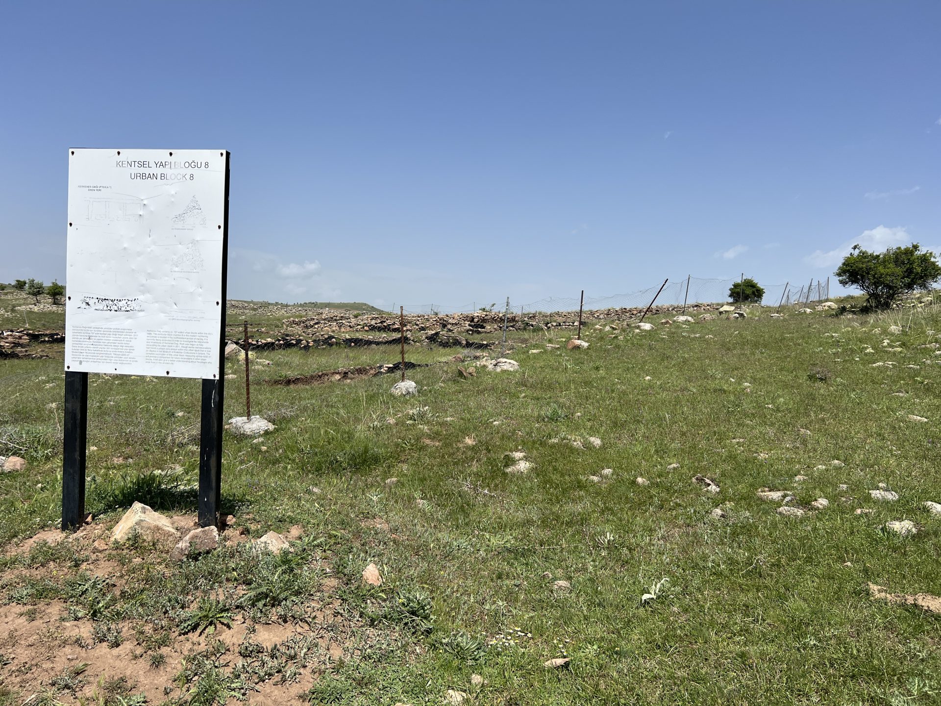 Dr. Tim Brown's Summer in Turkey Provides Potential Opportunities for ...